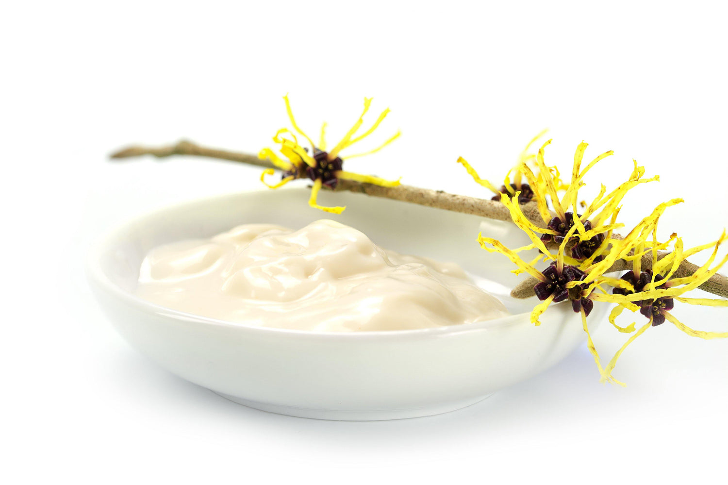 Dr Clare’s Apothecary - Witch Hazel Cream – DrClareApothecary